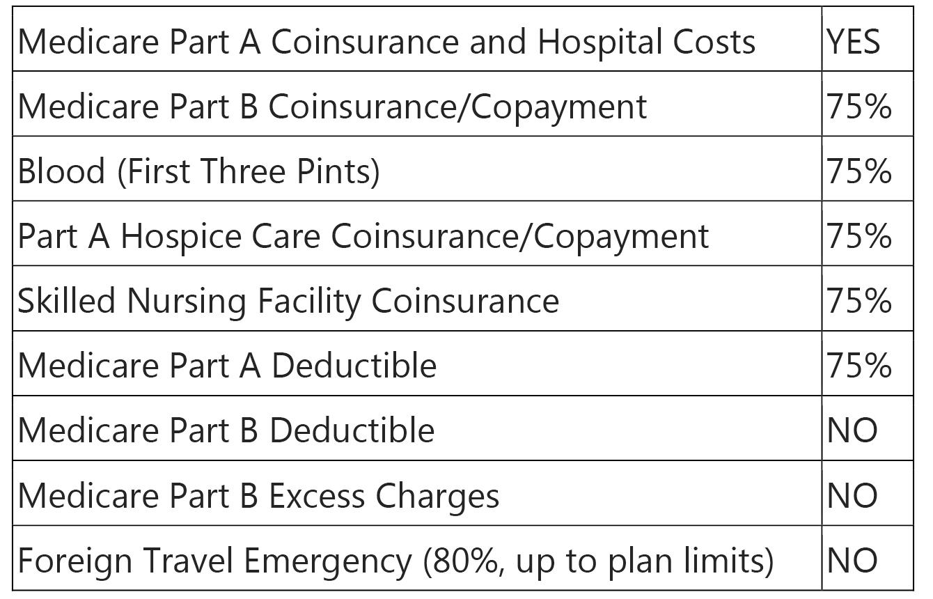 Medigap Plan L - MMIG